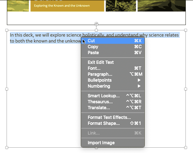 Notes Page View in PowerPoint 365 for Mac